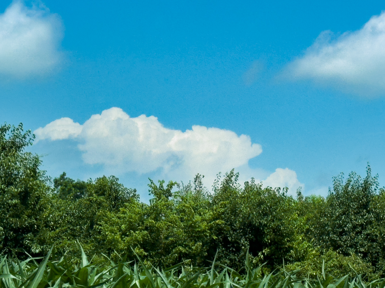 Clouds - Artist Reference Photos